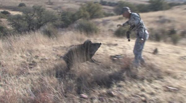 Rick’s Javelina Blaster - Rick Forrest’s Javelina Blaster